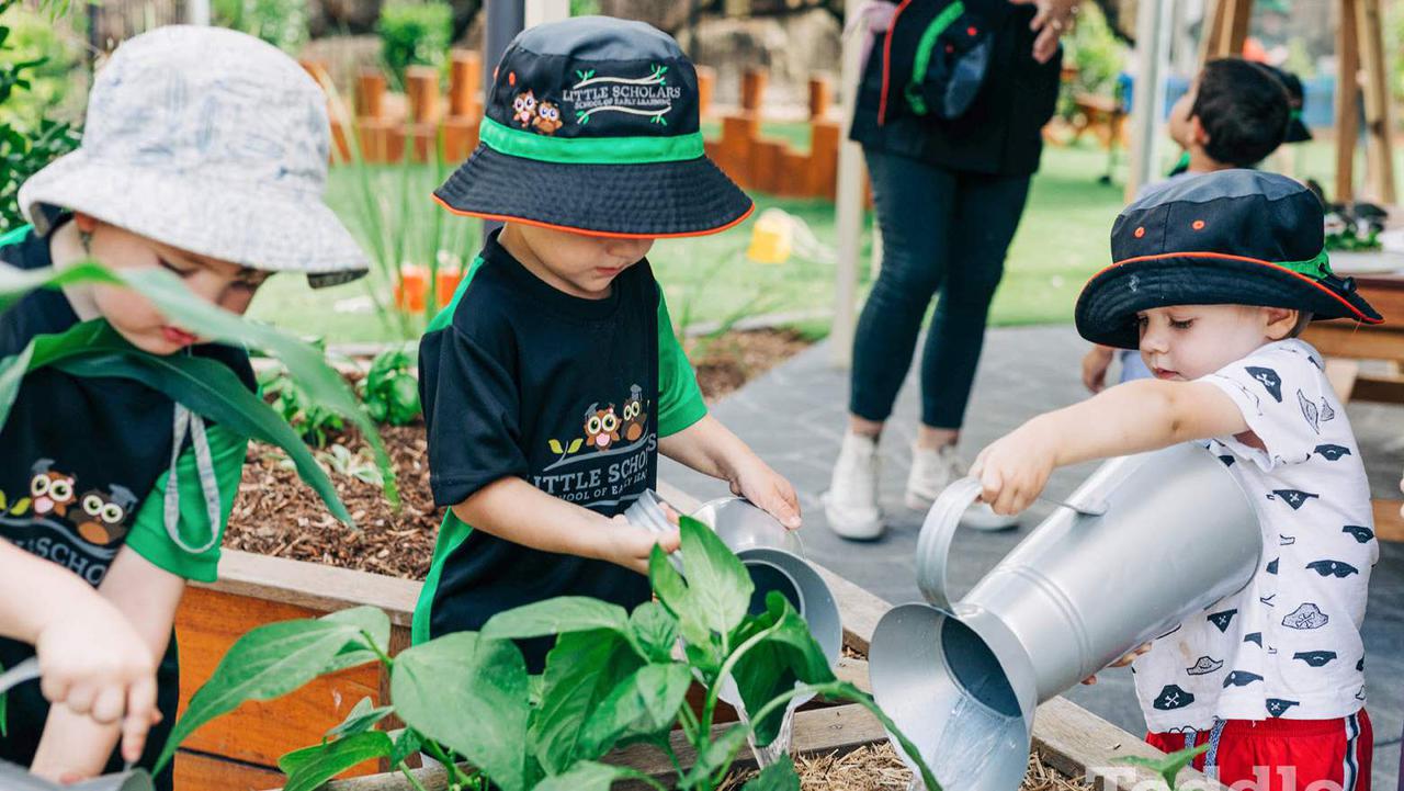 How to make a worm farm for kids - Toddle