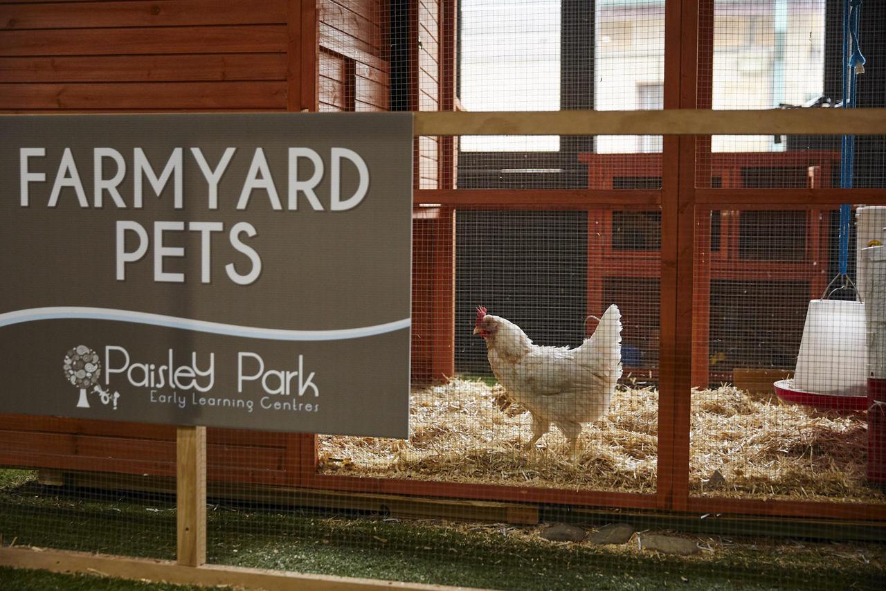 Paisley Park Early Learning Centre Randwick Toddle