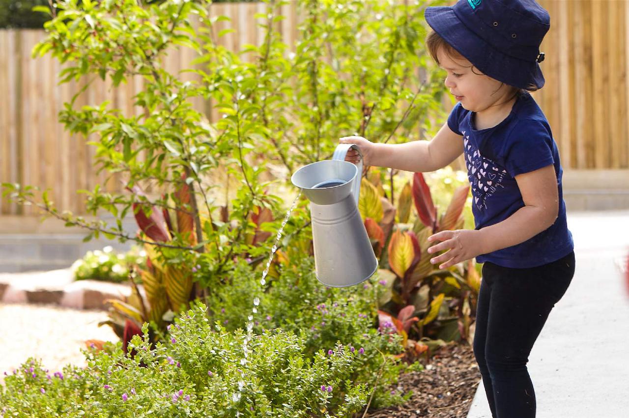 Niño Early Learning Adventures Montmorency Toddle