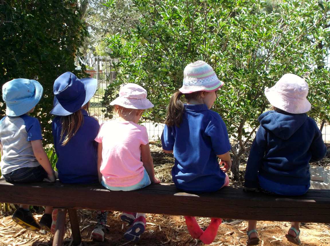 Barmera Kindergarten, Barmera | Toddle