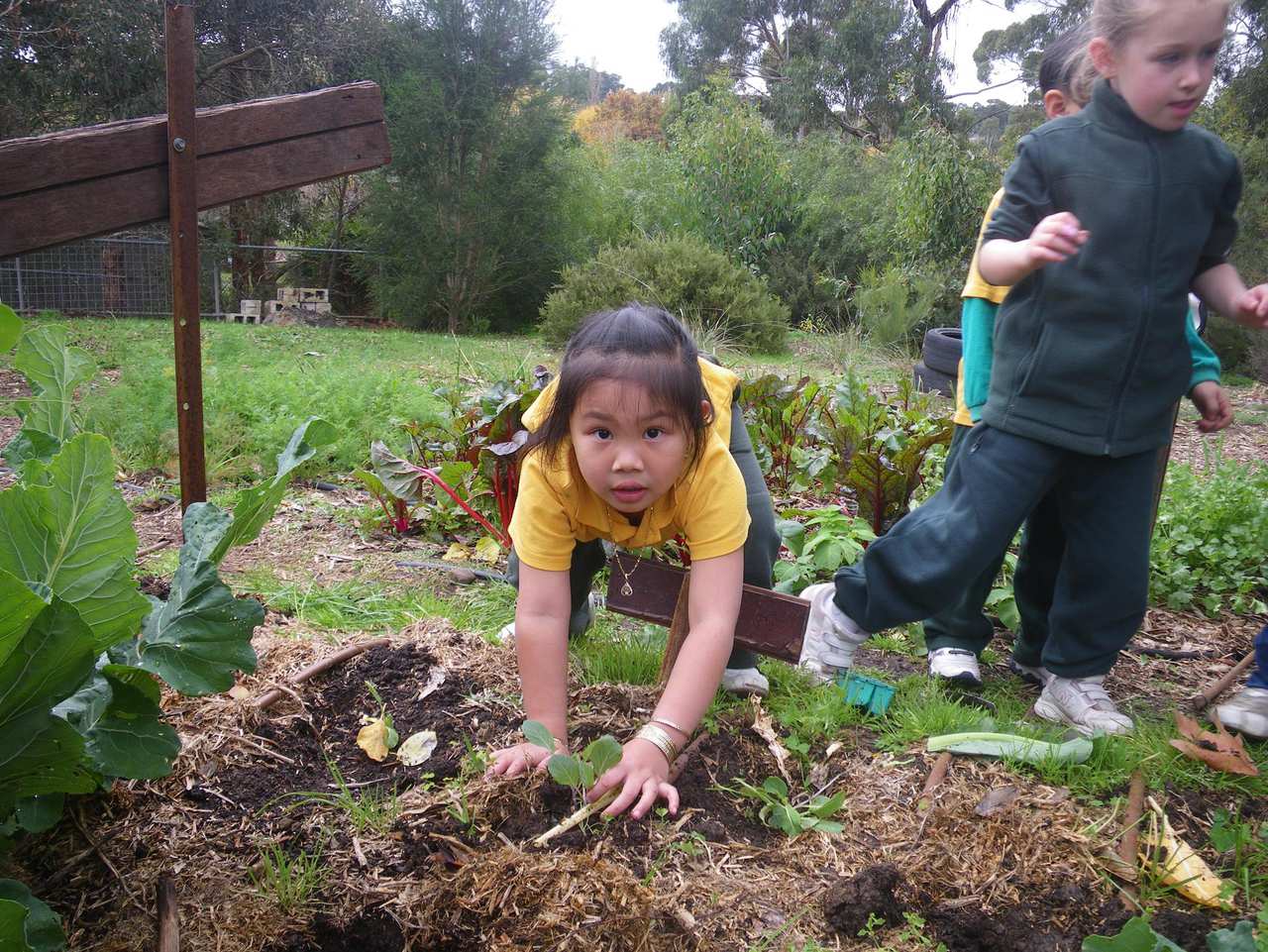 Vacancies at Lobethal Primary School OSHC | Toddle