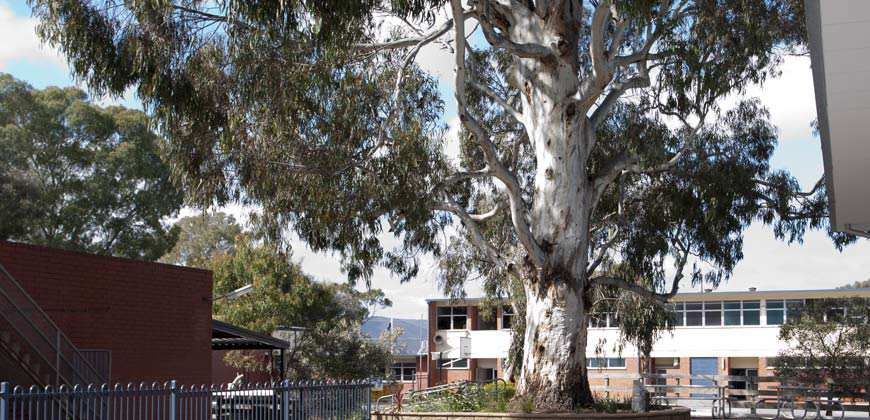 Modbury West School OSHC and Vacation Care | Toddle